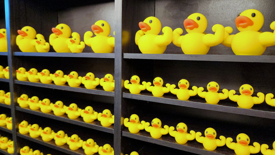 Swole Ducks